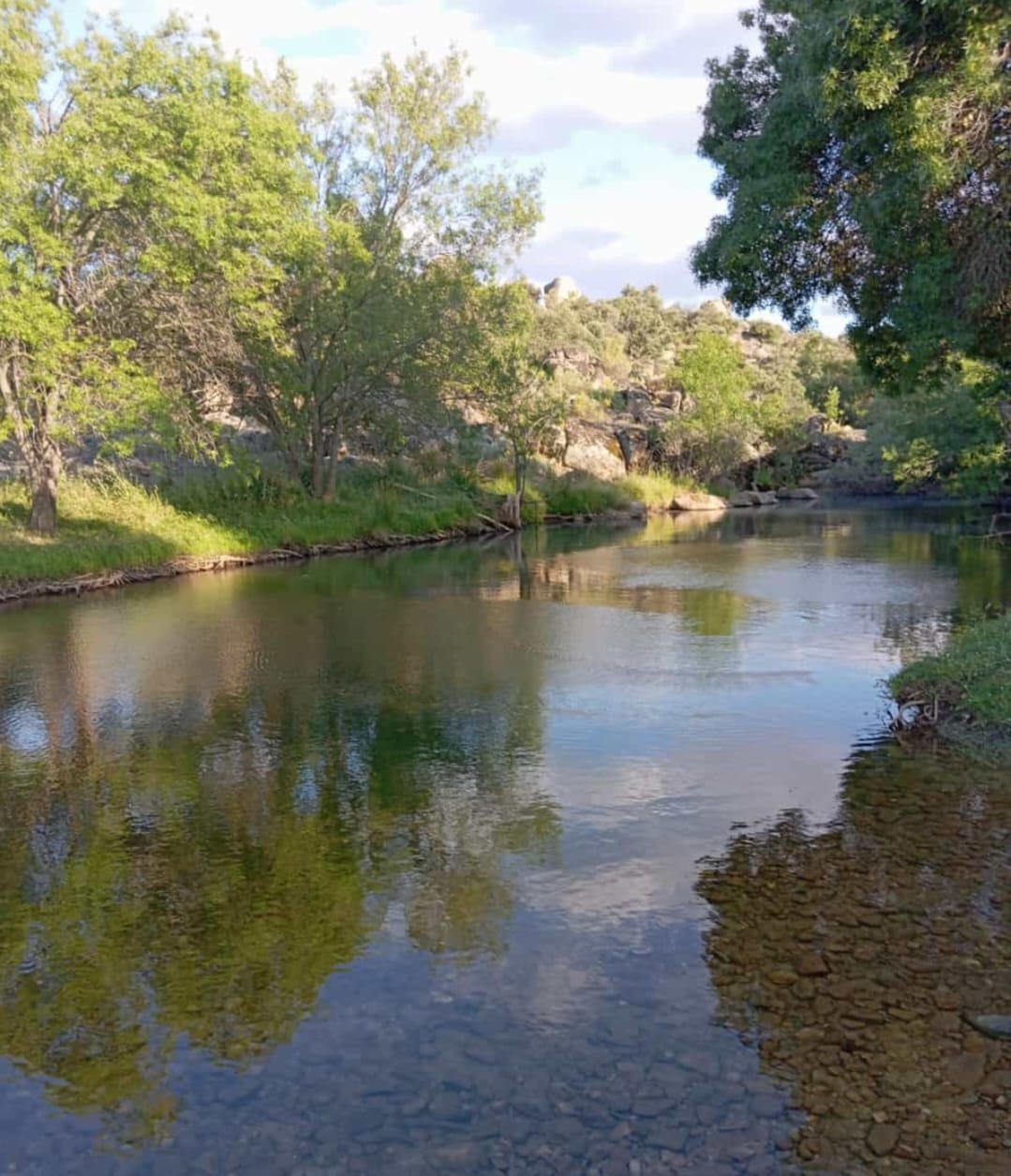 Las prisas | El Blog de Joaquín Sarabia